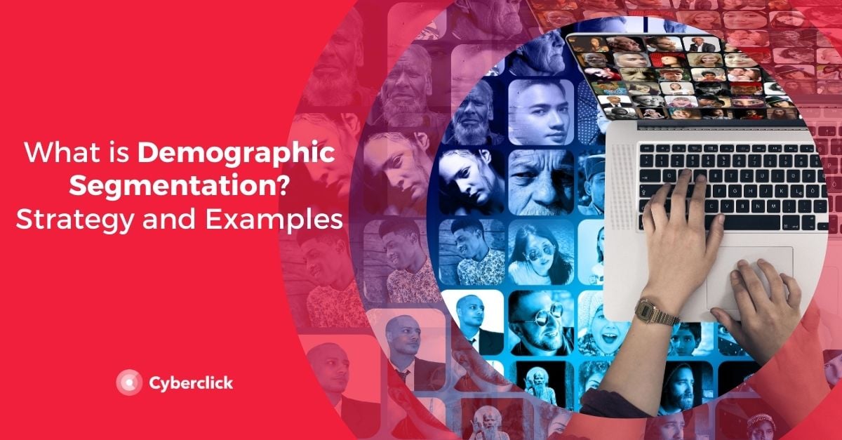 What Is Demographic Segmentation Strategy And Examples